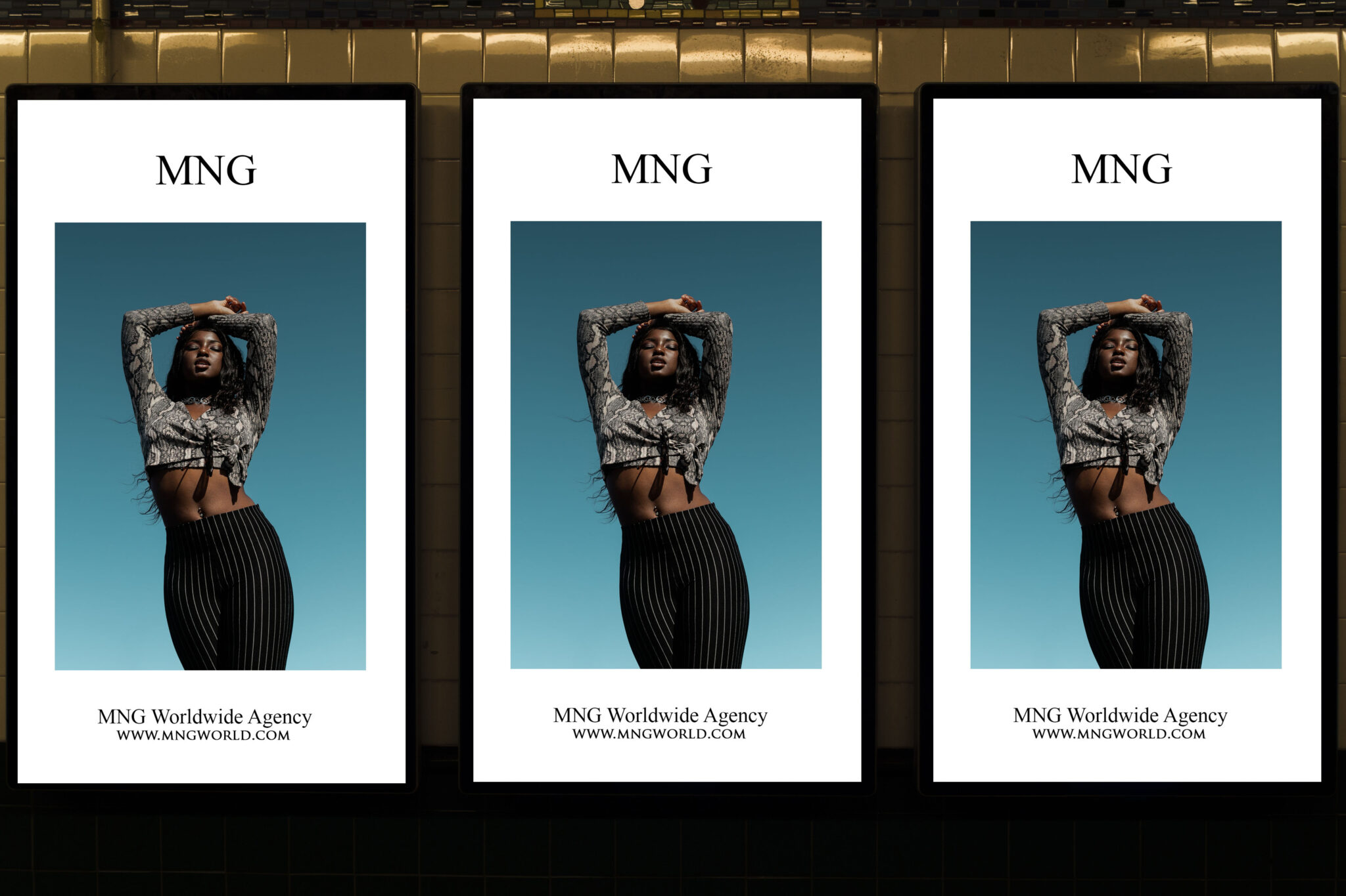 CURTIS | Agencia en Costa Rica de Publicidad y Marketing Digital